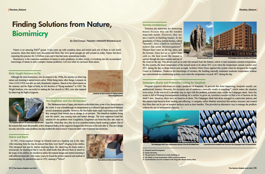 Nature _ Finding Solutions from Nature, Biomimicry